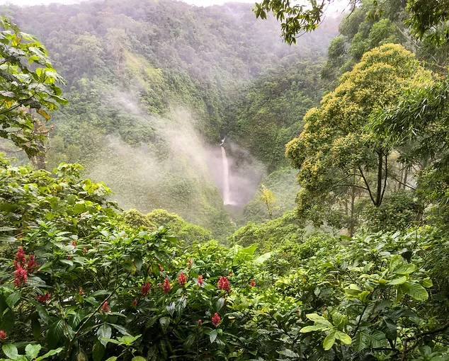 Colibri Café - Soda y Mirador Cinchona | Nature in Costa Rica