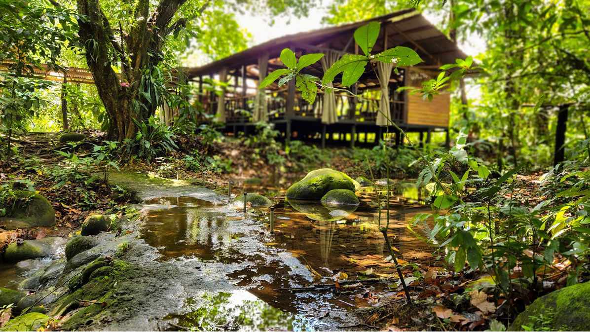 pierella-ecological-garden-nature-in-costa-rica