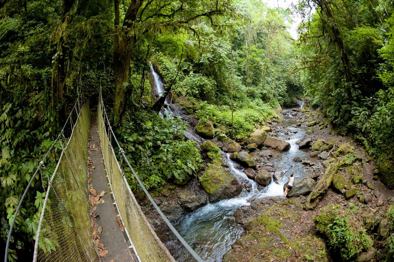 Rainmaker Conservation Park | Nature in Costa Rica