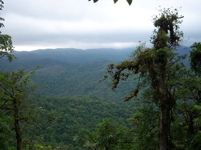 Alberto Manuel Brenes Biological Reserve | Nature in Costa Rica